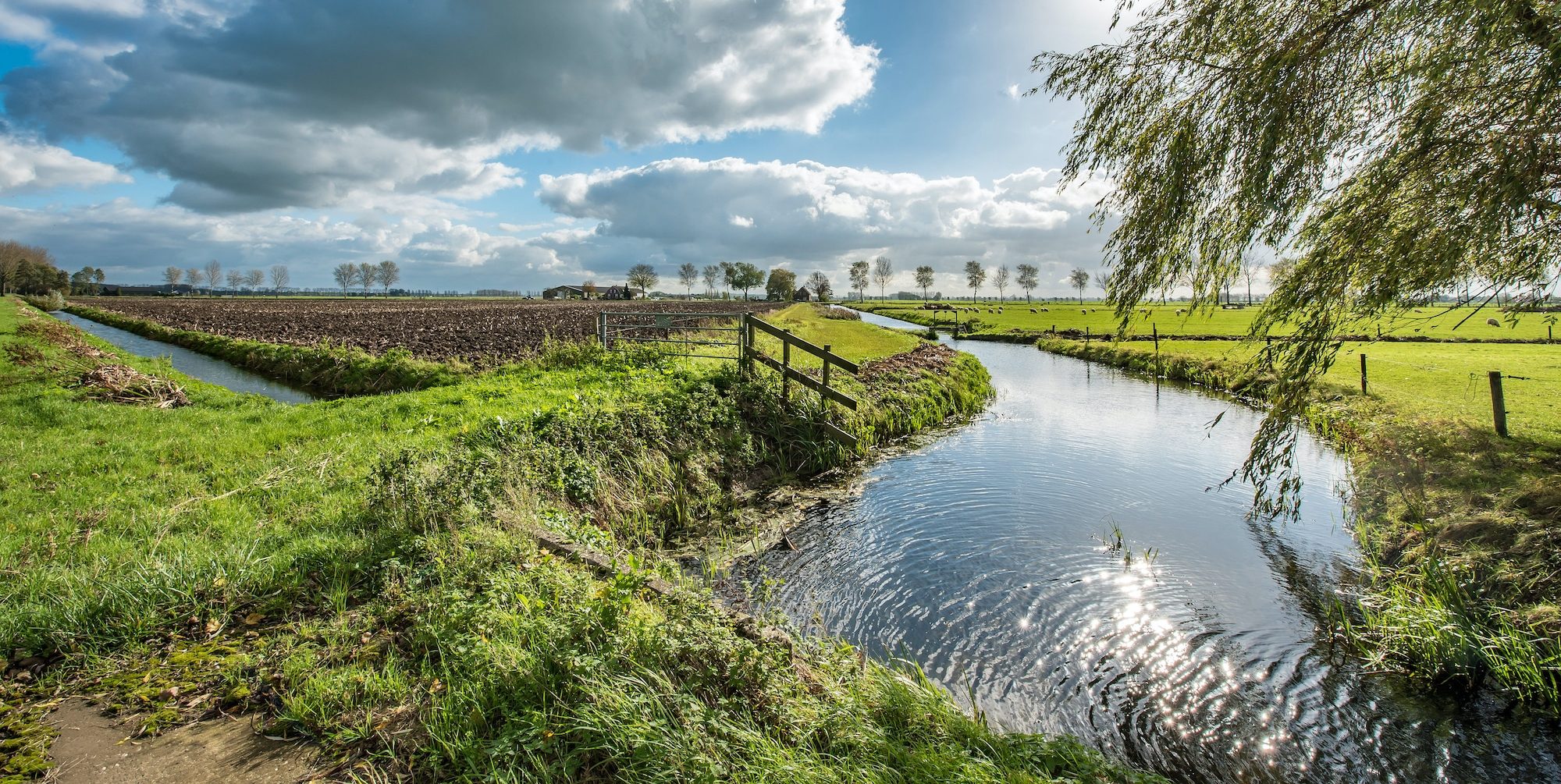 Samen werken aan een gezonde leefomgeving | Omgevingsdienst Rivierenland